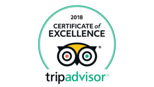 Hynt Card - Gwyn Hall